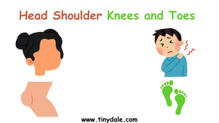 Head Shoulder Knees and Toes Lyrics (Free Video)